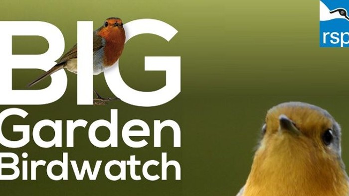 RSPB Garden Birdwatch